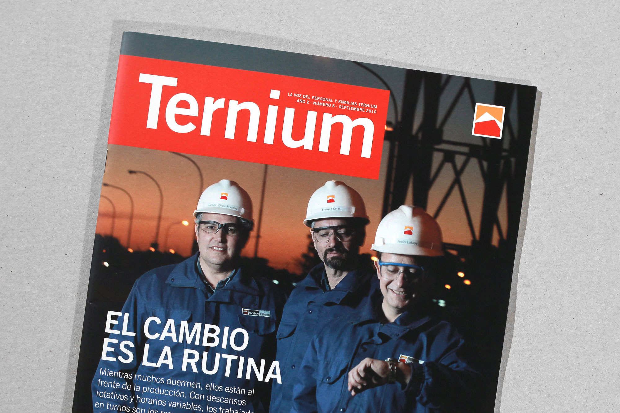 Ternium · Serif;